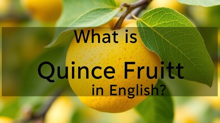 what is quince fruit in english? - Test Food Kitchen